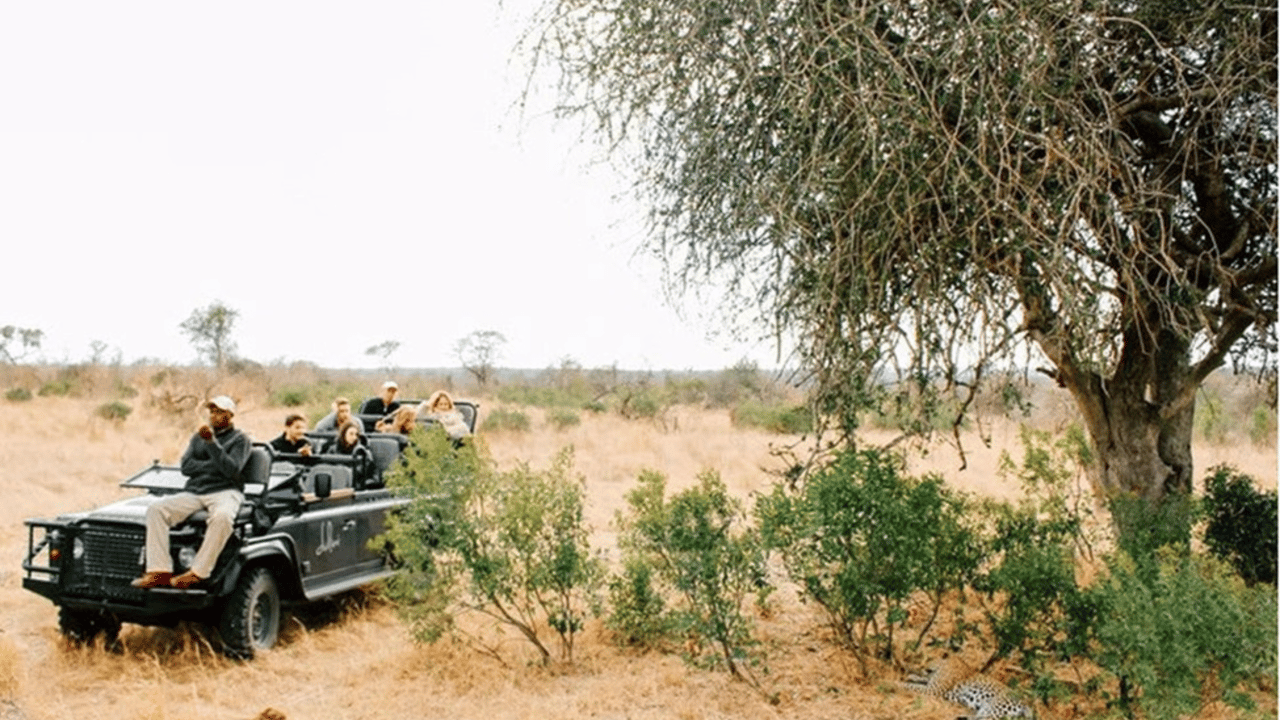 Why Are African Safaris So Expensive?